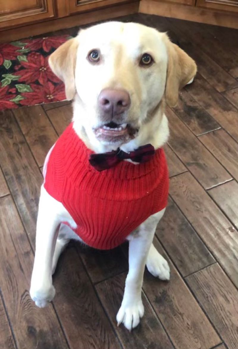 Welcome to Partney HVAC - Partney Heating & Cooling