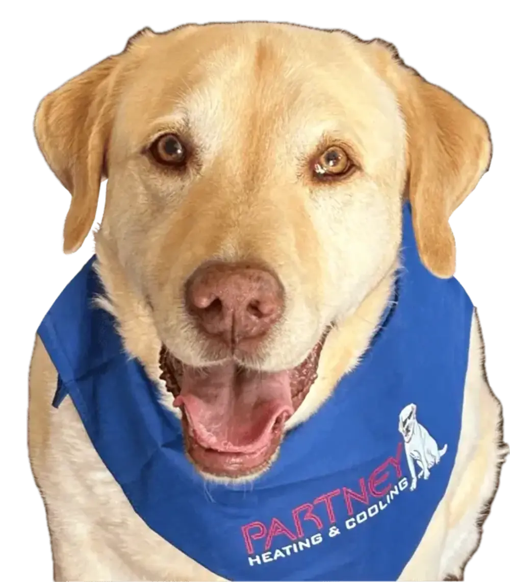 Partney Heating and Cooling: Heating and Cooling in Herculaneum, MO ...